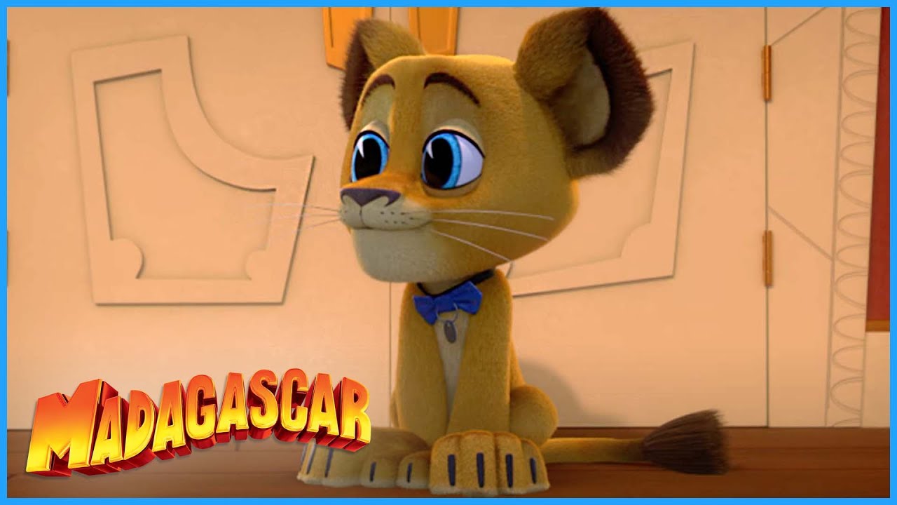 DreamWorks Madagascar | Alex learns how to be a cat | Madagascar: A ...