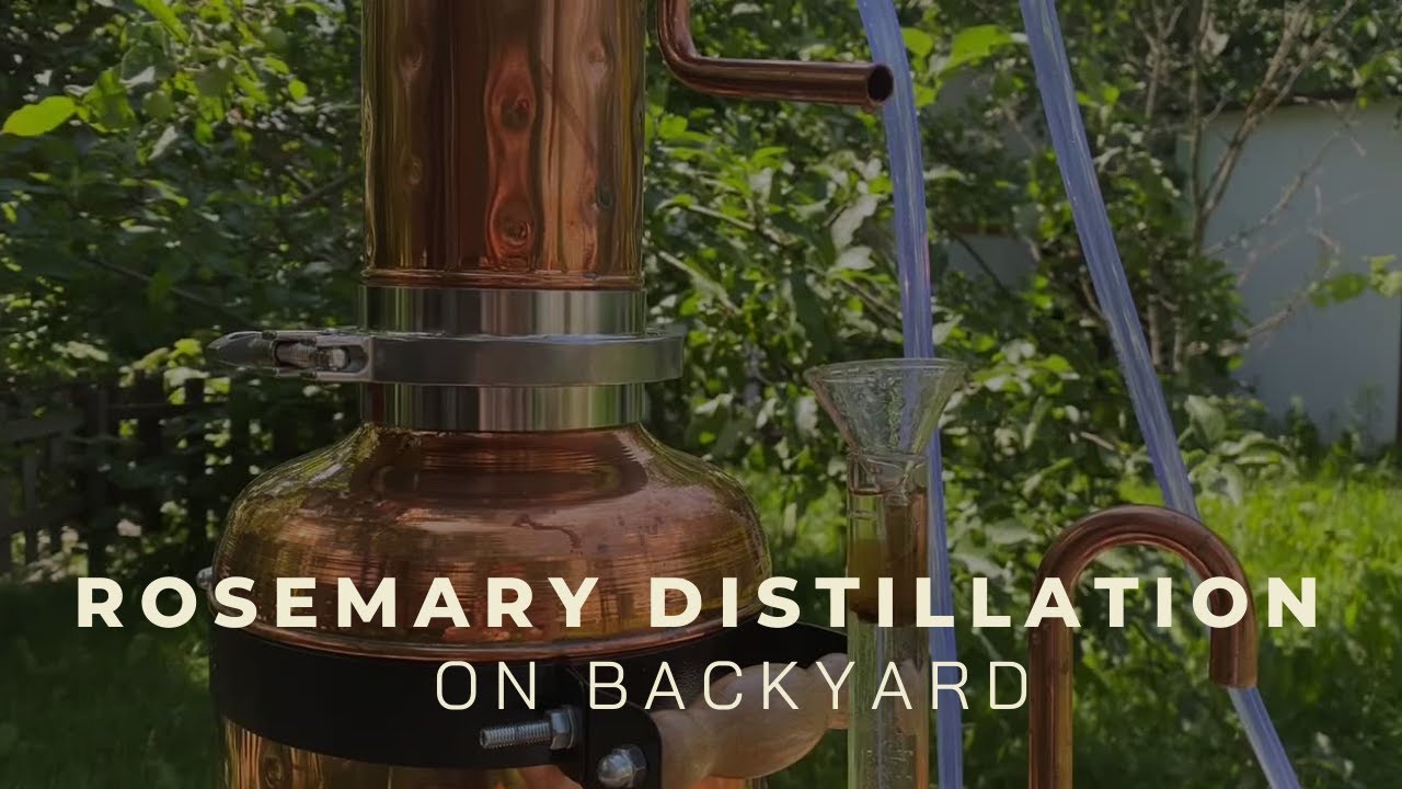 Rosemary distillation on backyard - essential oil and hydrosol - YouTube