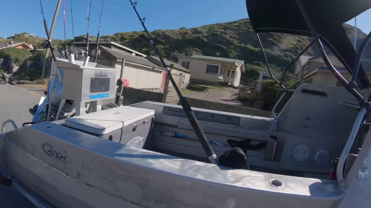 Hapuka / Grouper New Zealand - YouTube
