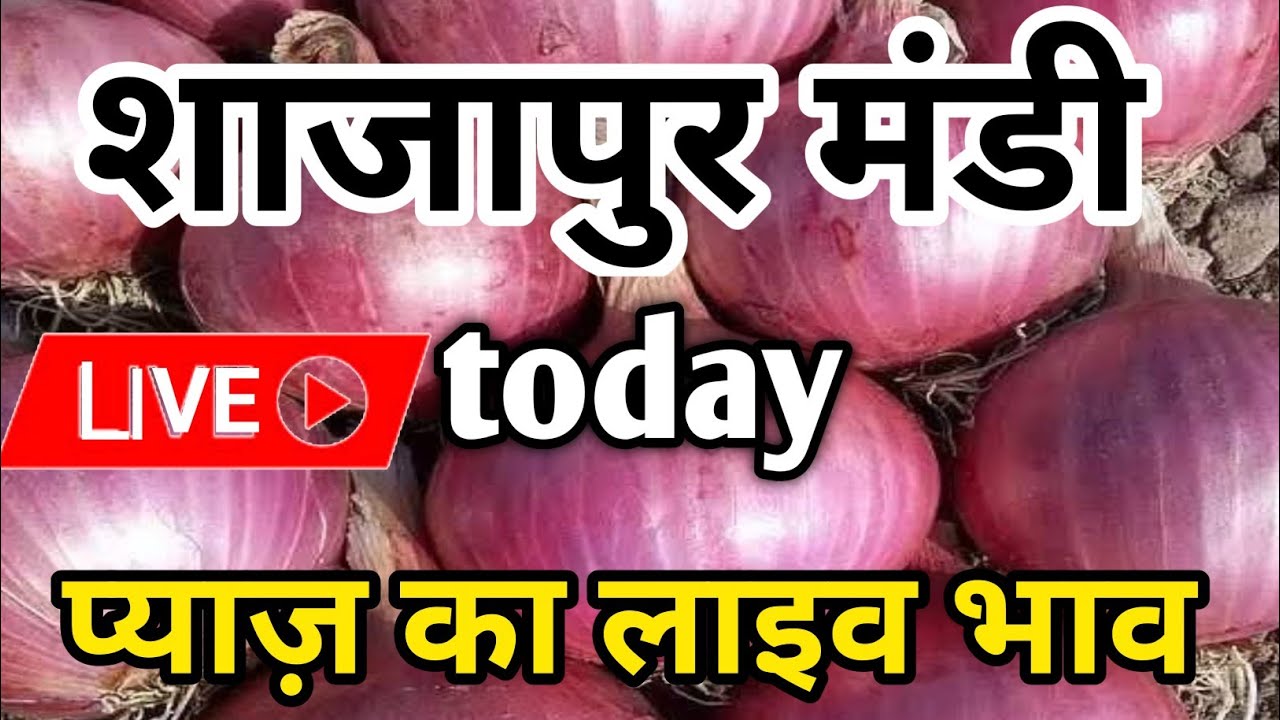 6 Januaryshajapur mandi pyaj bhav | aaj ka pyaj bhav | pyaj ka bhav ...