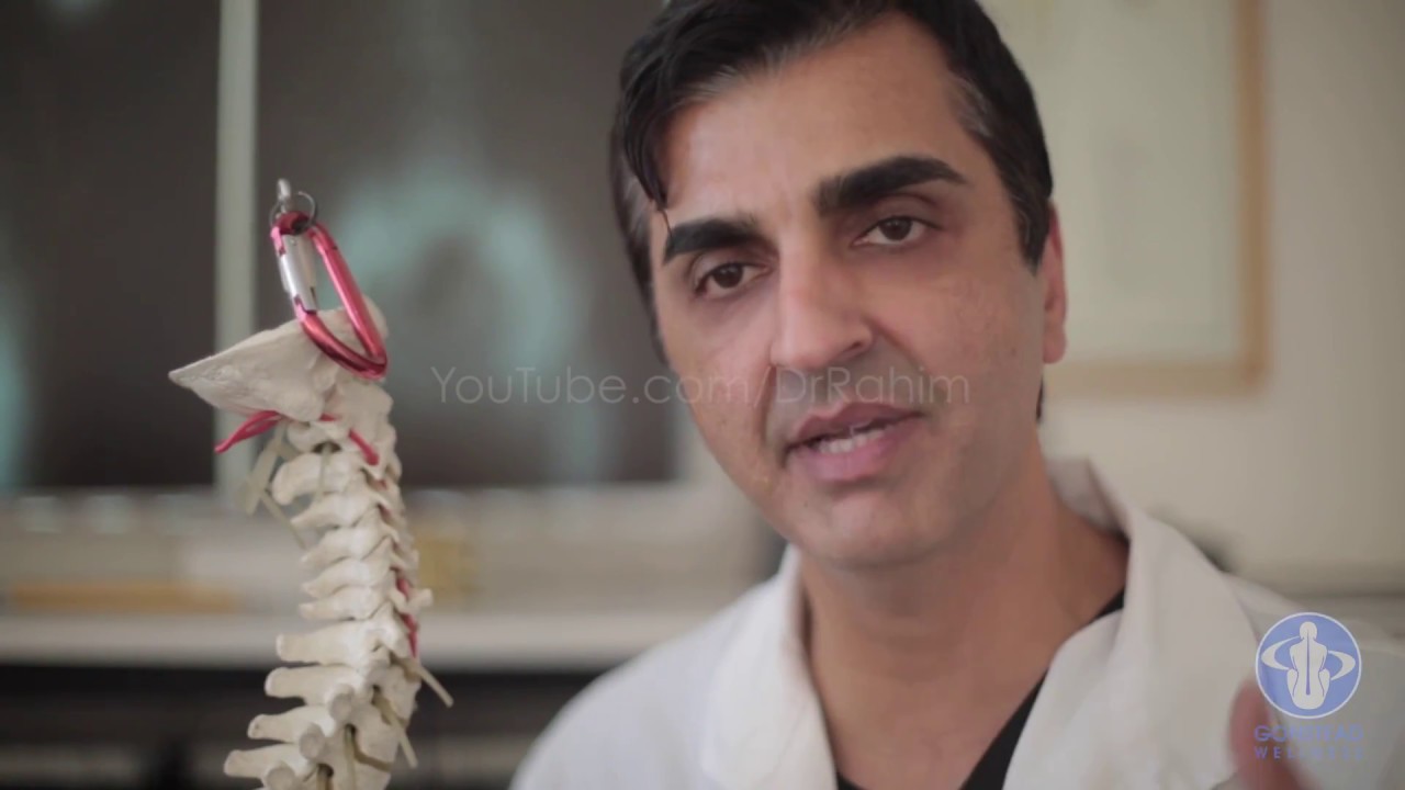 The Spine, Nervous System, Chiropractic and Gonstead with Dr. Rahim ...
