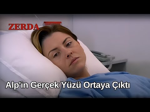 Alp'in Gerçek Yüzü Ortaya Çıktı  & Zerda 65 Bölüm