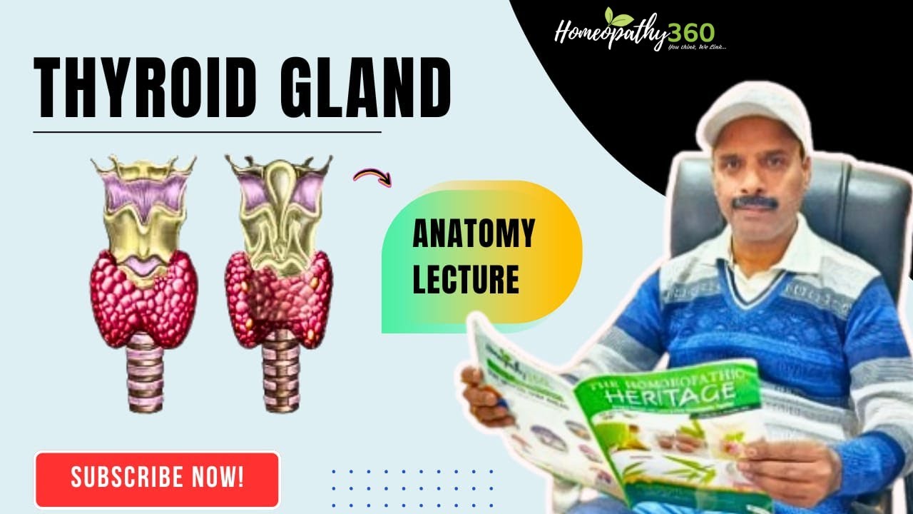 Anatomy of Thyroid Gland - Prof. Dr Jineshwar Yaligouda - YouTube