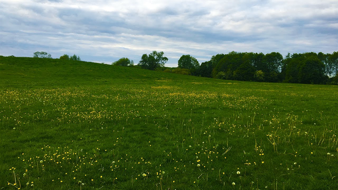 The Sound Of Spring | 1 Hour Audio | Sound For Relaxation And Sleep ...