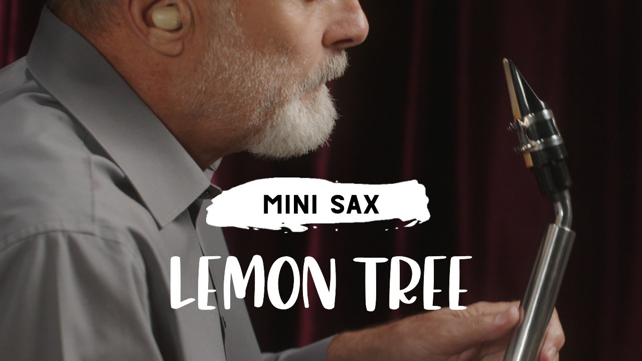 Lemon Tree - Will Hold - Mini Sax Cover - YouTube