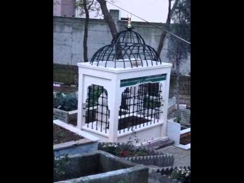 Bülbül güle hayran bende şehime