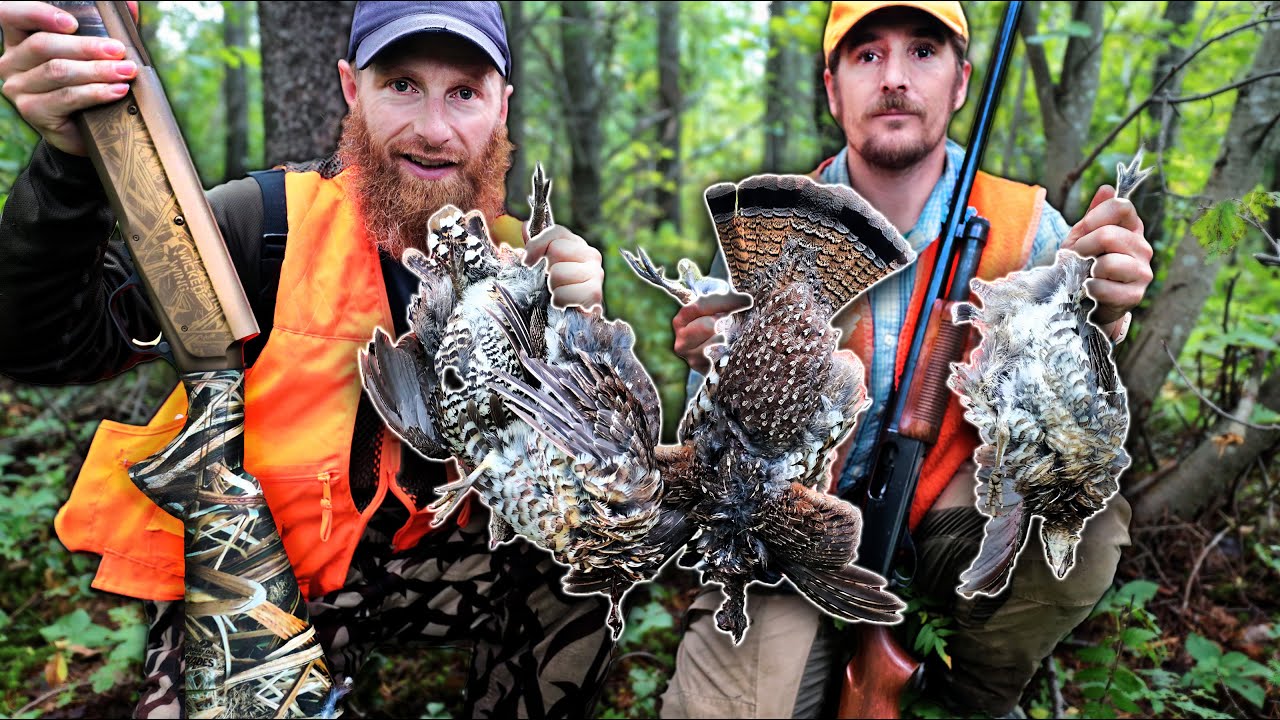 Gun Cam Hunting BUSH CHICKENS! (Intense 5 minute hunt) - YouTube