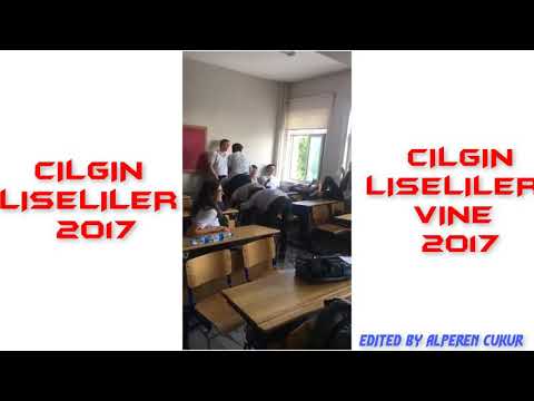 Çılgın liseliler vine