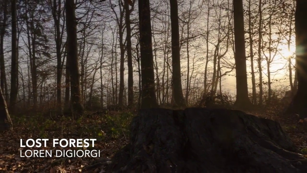 Lost Forest - (Peaceful, Relaxing, Calm Piano) - YouTube