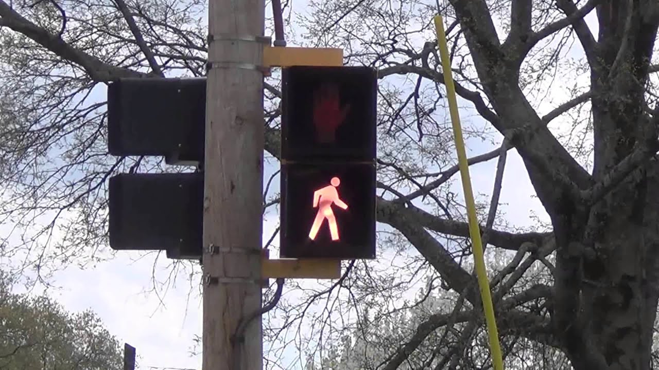 12 inch Incandescent Durasig Pedestrian Signal - YouTube