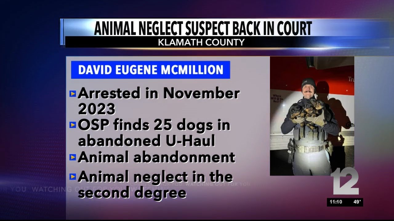 Animal neglect suspect back in court - YouTube