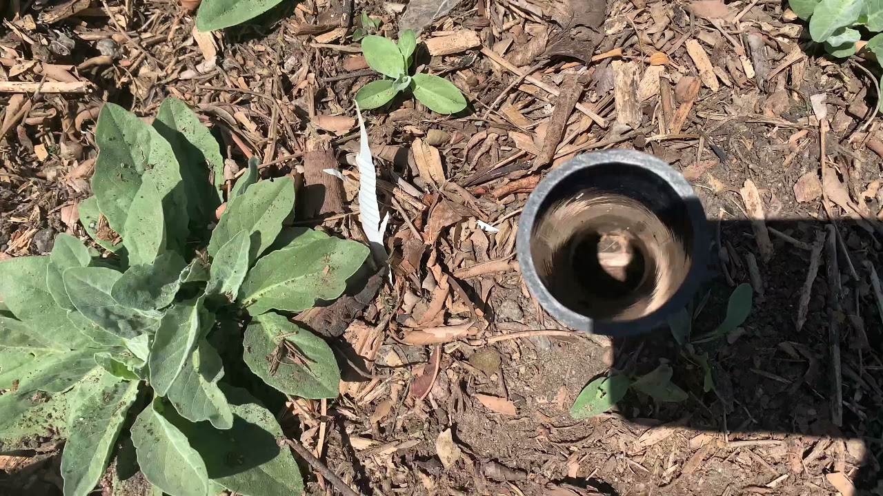 Creative way to deep root watering trees and save water - YouTube