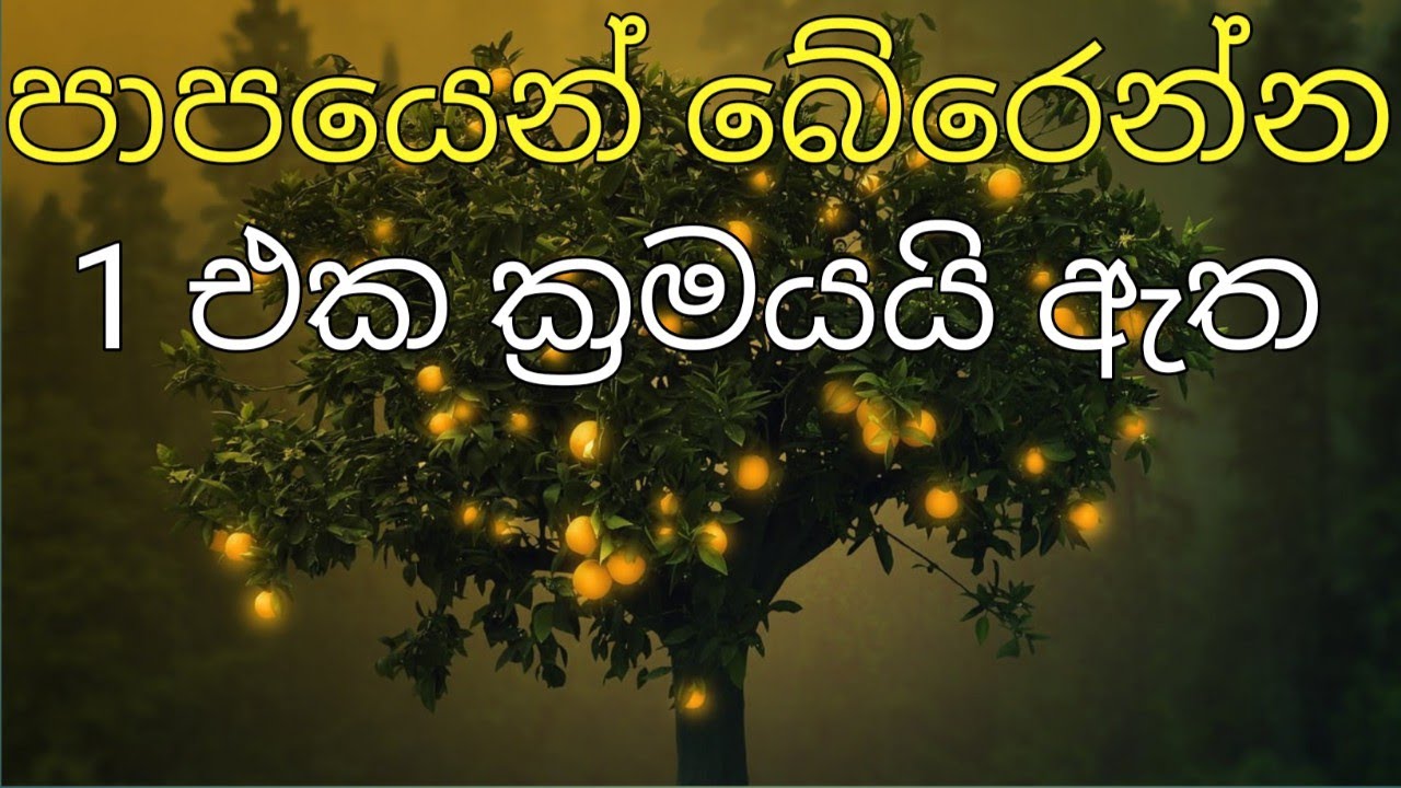 යක්ෂ ස්වභාවය දේව සභාවකට මාරුව වෙන විදිය..final glory pinsara hiyos .🥰💪 ...
