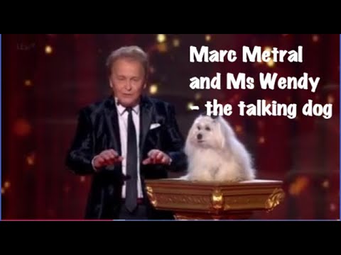 The 'only talking dog' Marc Metral and Wendy wowed the judges and ...