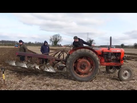 Nuffield 460 & IH B1-42 Ploughing - YouTube