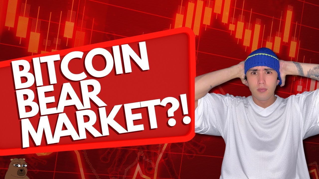 Weekly Meme Coin Update #5 - Bitcoin Bear Market? - YouTube