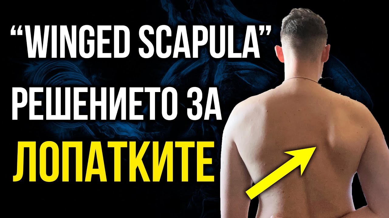 Winged Scapula - Какво означава това и как да се справим с "хвърчащата ...