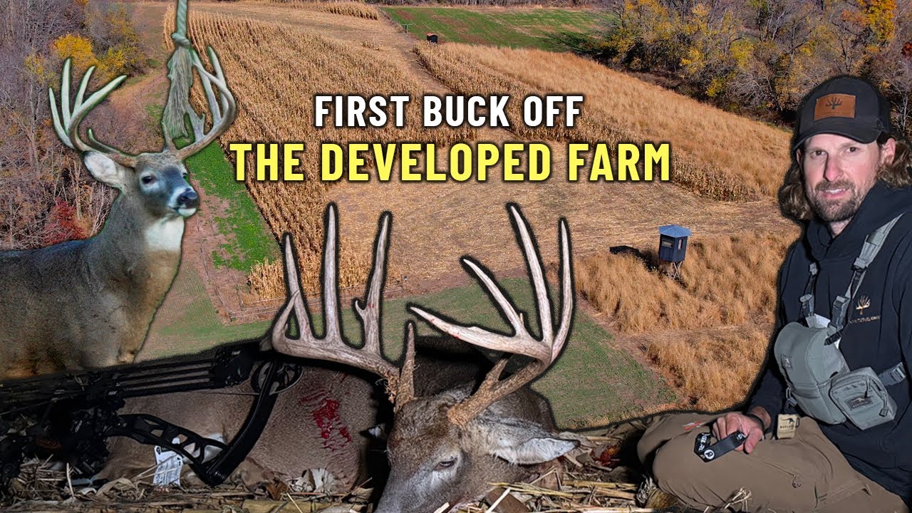 Big Buck Down on The Fully Developed Farm - YouTube