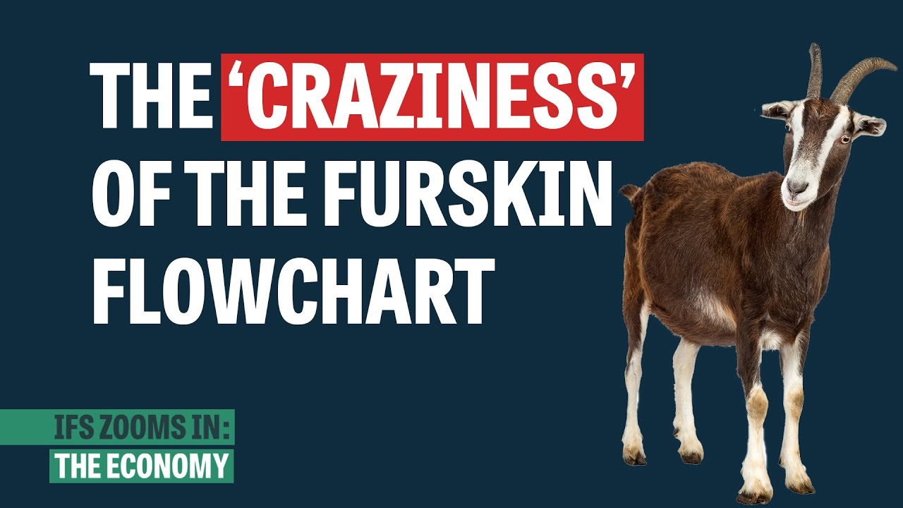 The 'craziness' of the furskin flowchart - YouTube