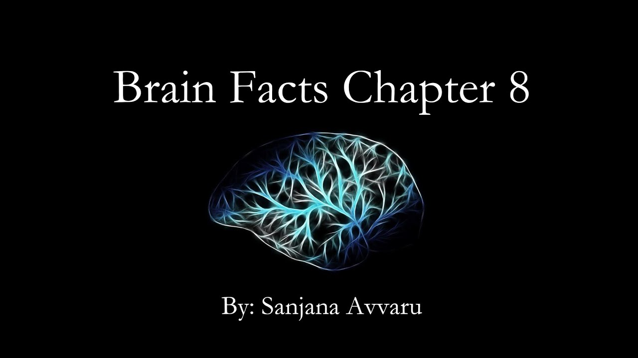 Adult and Aging Brain (Brain Facts Chapter 8) - YouTube
