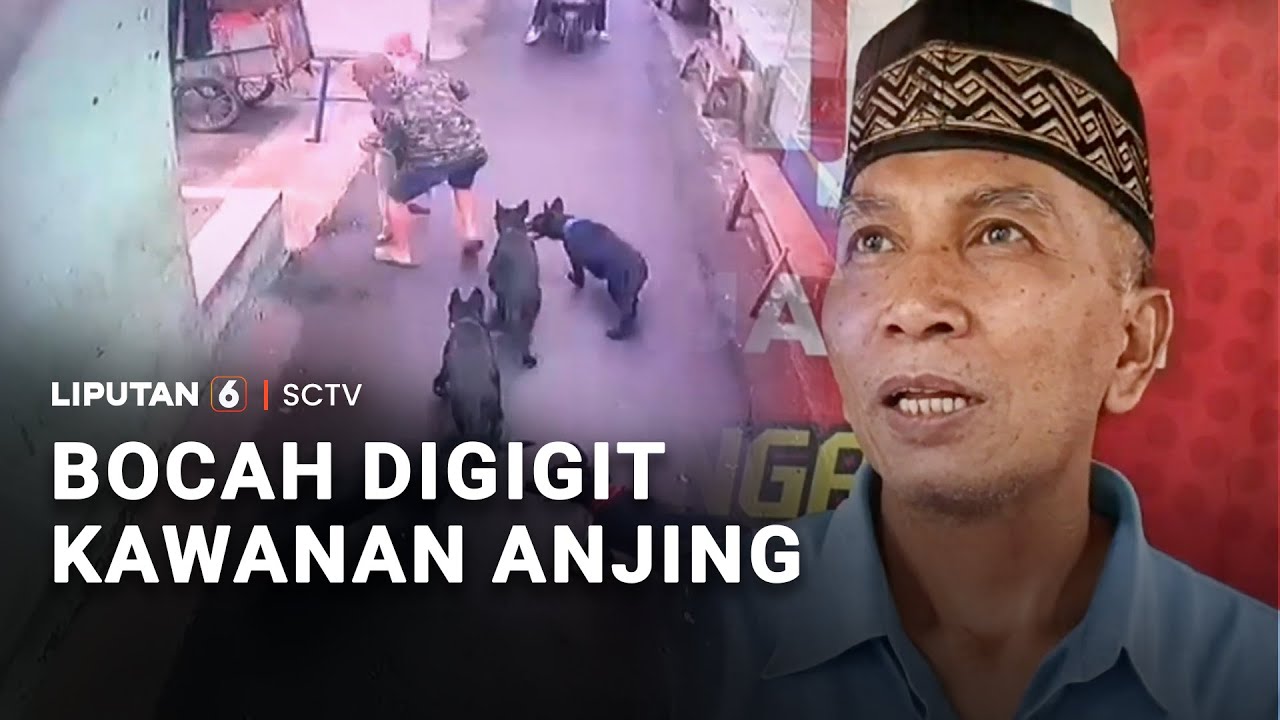 Bocah Digigit Kawanan Anjing | Liputan 6 - YouTube