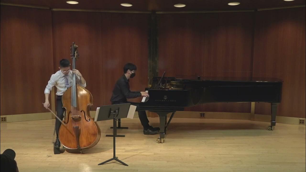 BRAHMS Sonata for Viola and Piano Op. 120 No. 2 (I. Allegro amabile) - YouTube