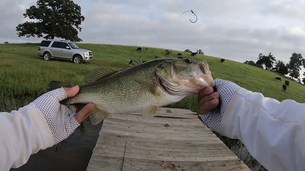 Bass Fishing Compilation (BK Ranch - Pond- Texas State Park) - YouTube