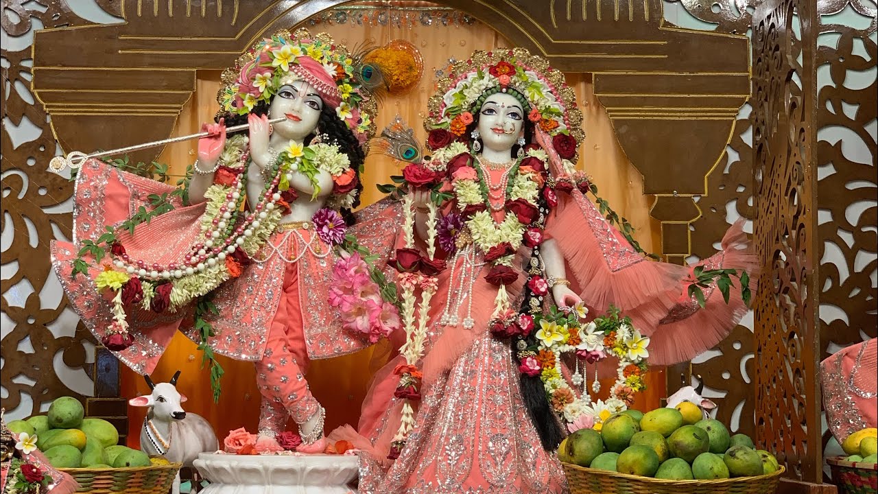 Pyaro Vrindavan 🦚🫶🏼 | Vlog 07| - YouTube