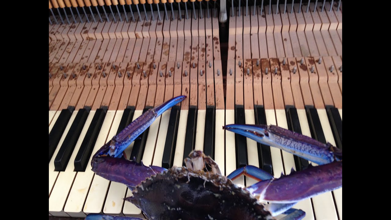 Wilson Tanner - "69" video album - 30 minute deep relaxation - YouTube