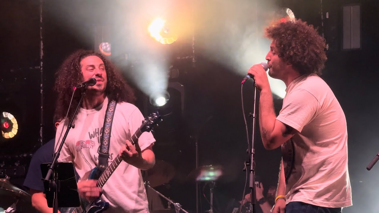 Beer (Reel Big Fish) - Pigeons Playing Ping Pong - Saranac Brewery ...