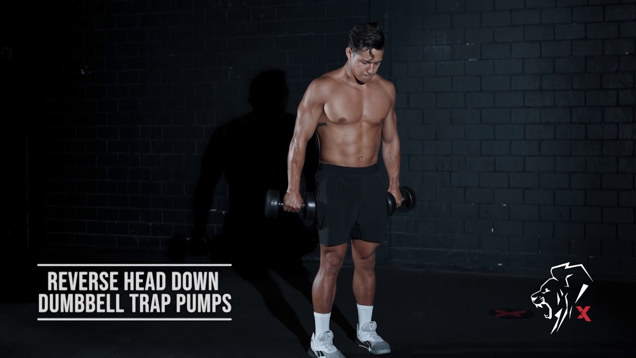 Reverse Head Down Dumbbell Trap Pumps - YouTube