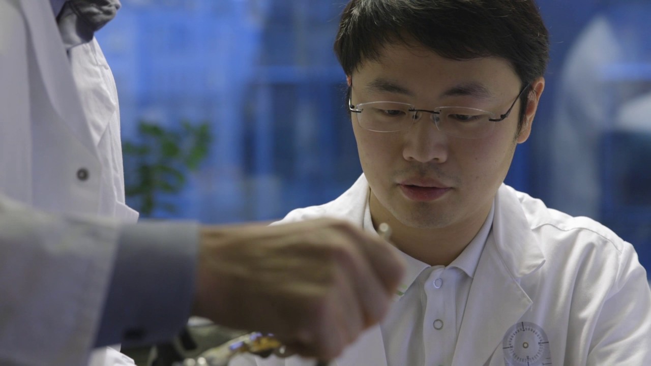 PD Dr. med. Andreas Krieg, Orthopädie UKBB - YouTube