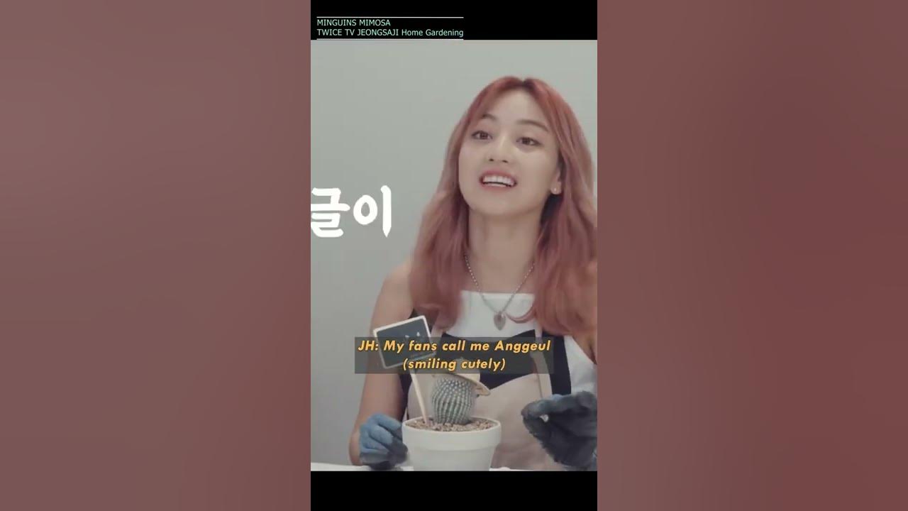 JIHYO's CACTUS Origins | It was once alive - YouTube