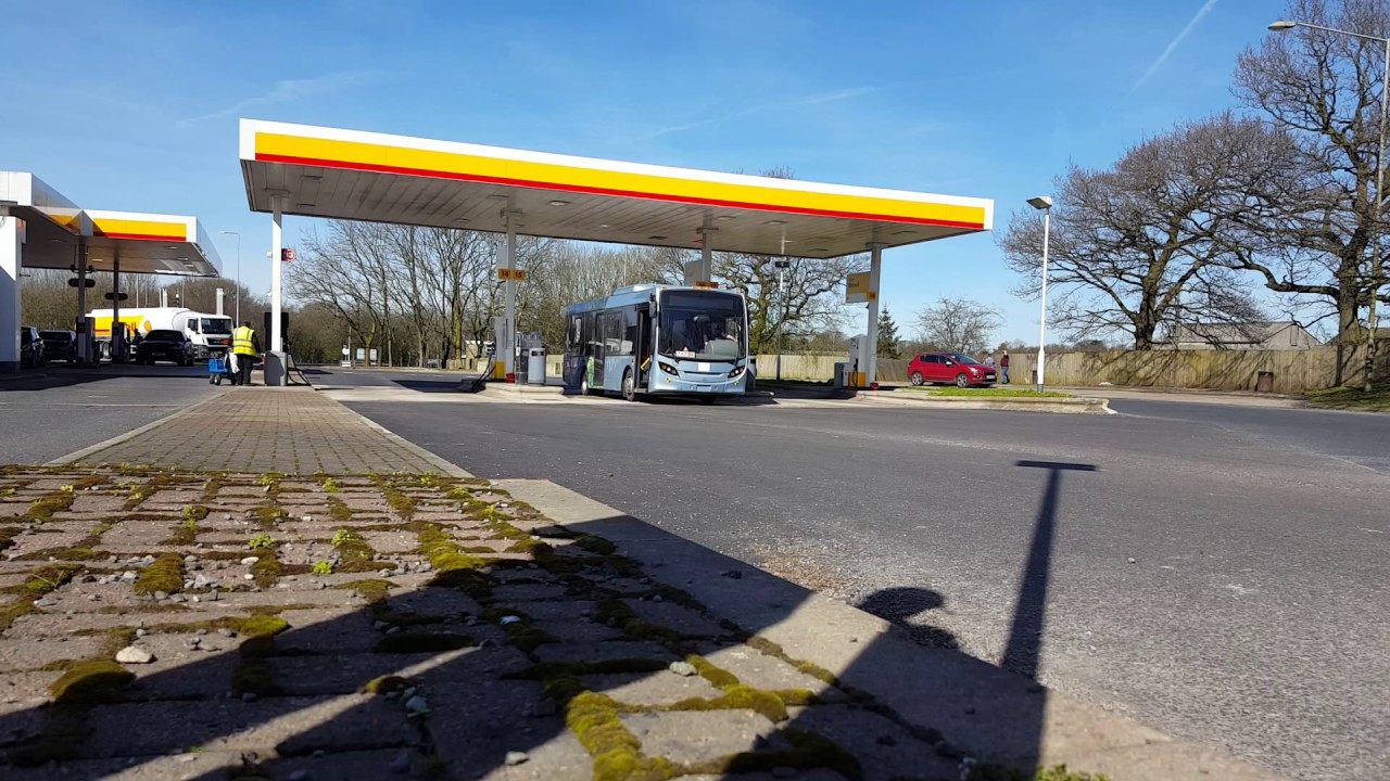 Bus Variety Part 1 - YouTube