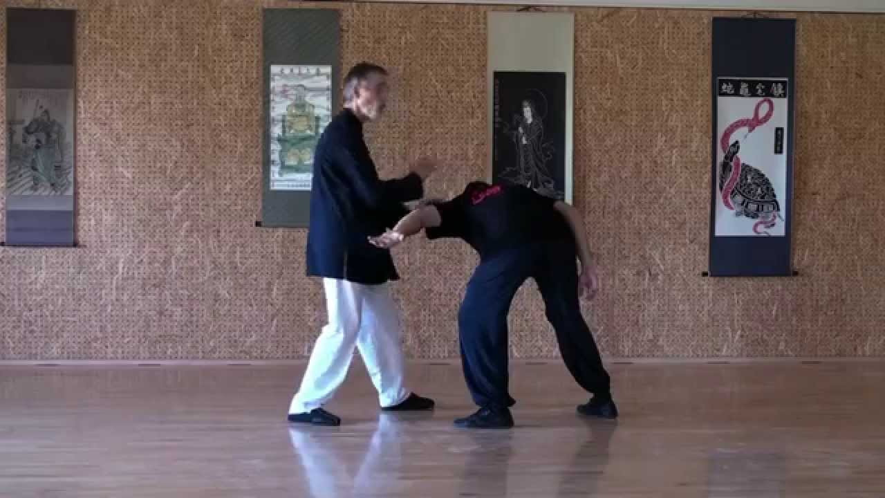 TAI CHI applications_11 Left Brush Knee Twist Step_François Hainry ...