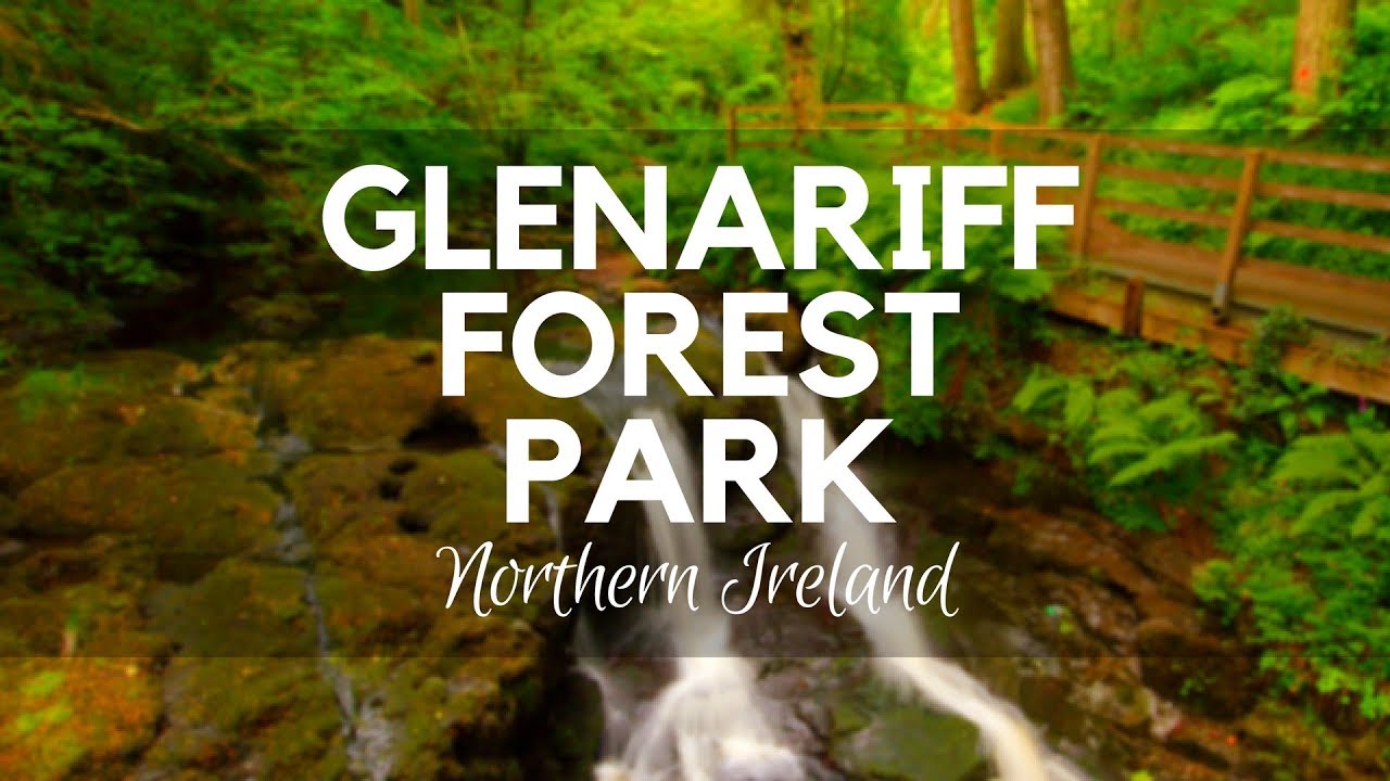 360 Degree Video of Glenariff Park with its Waterfall Walk - YouTube