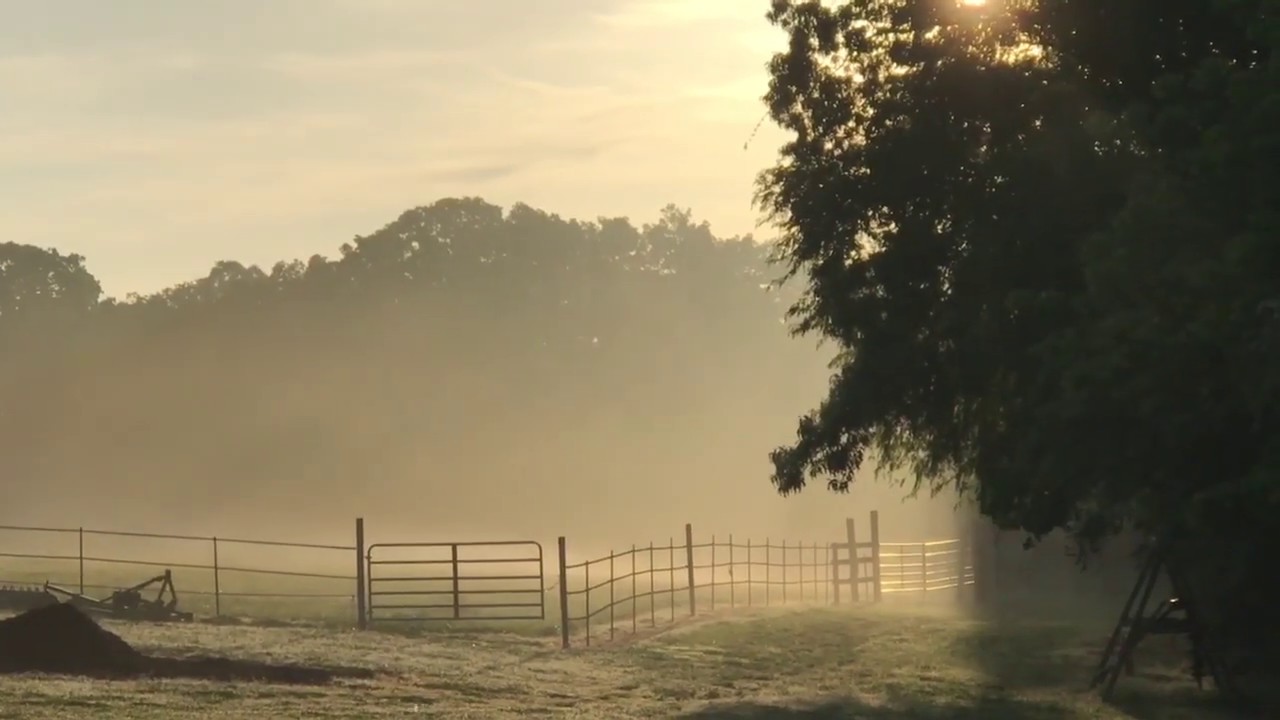Relaxing spring day - YouTube