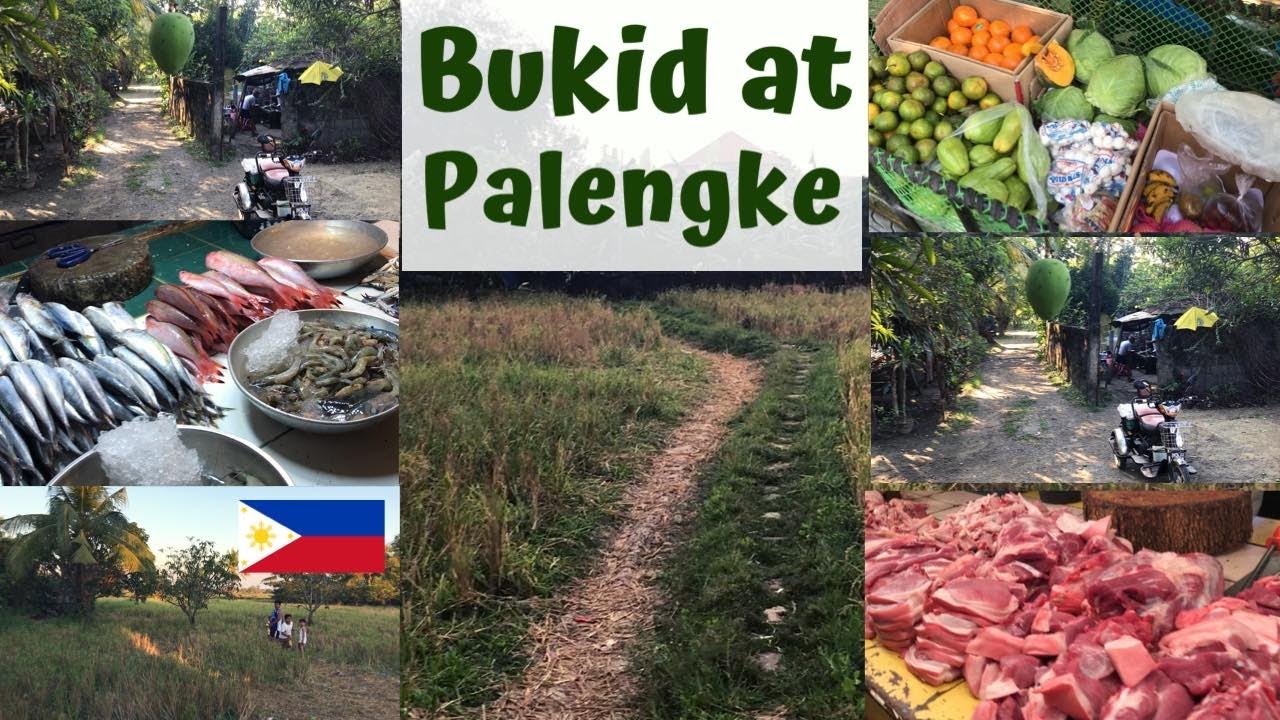 BUKID!!! PALENGKE!!! BUHAY PROBINSYA!!! Simple Life in the Province ...