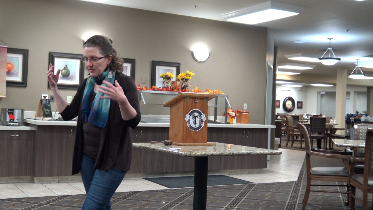 Michele Rogan presents on "Business/Parenting" - YouTube