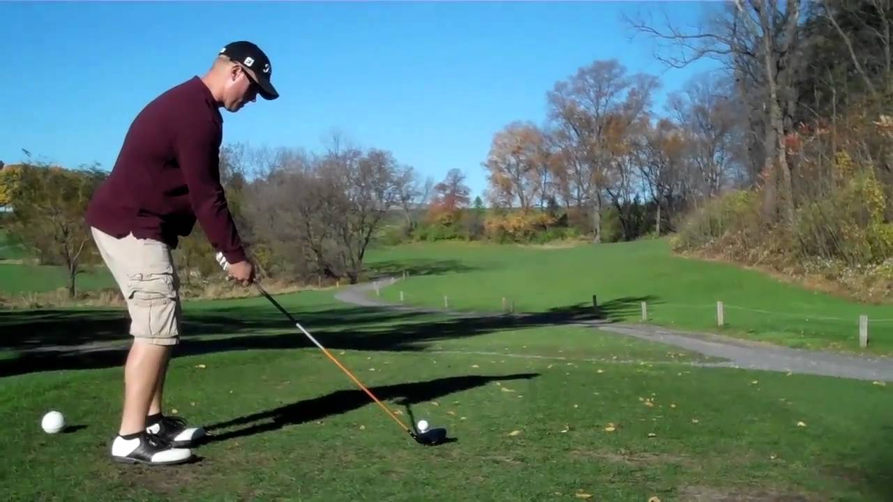 Skunk, Golf, and Deer! - YouTube