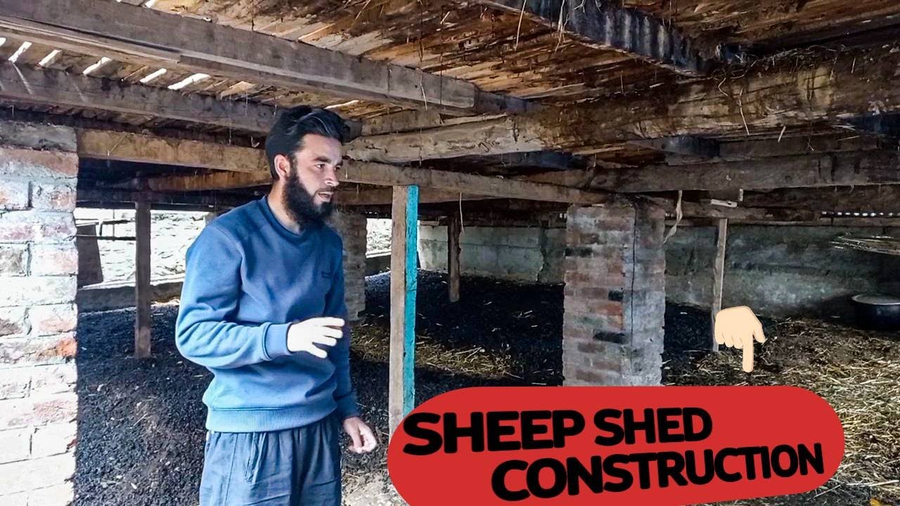 How To Construct A Sheep Shed || A Step-by-Step Guide #sheep # ...