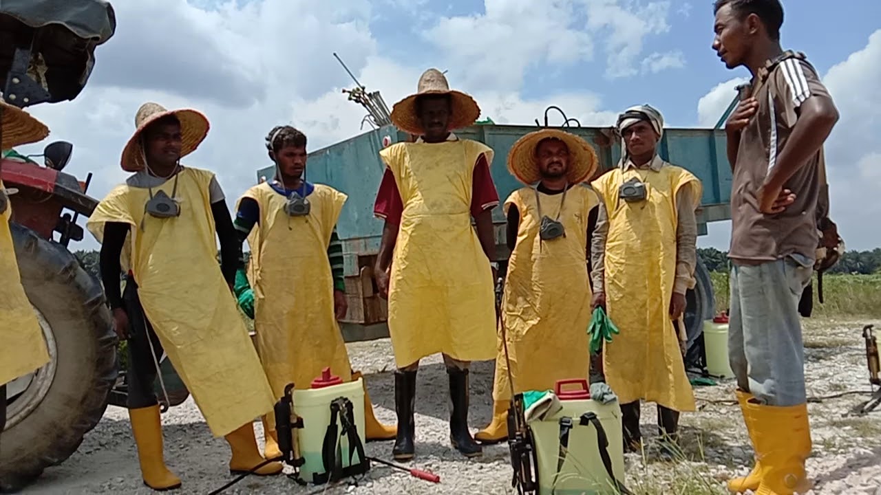 Malaysia spraing meeting - YouTube