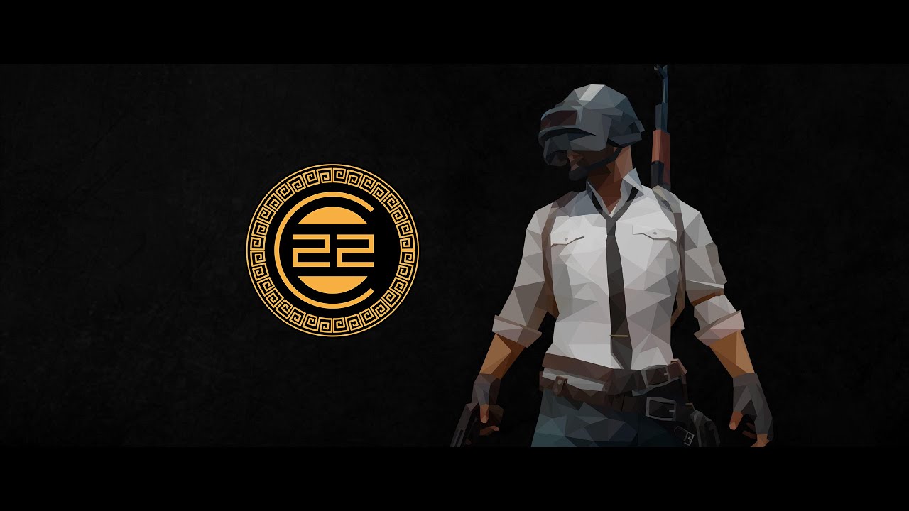 C22 PUBG 2021 300 Violin Orchestra-39395 - YouTube