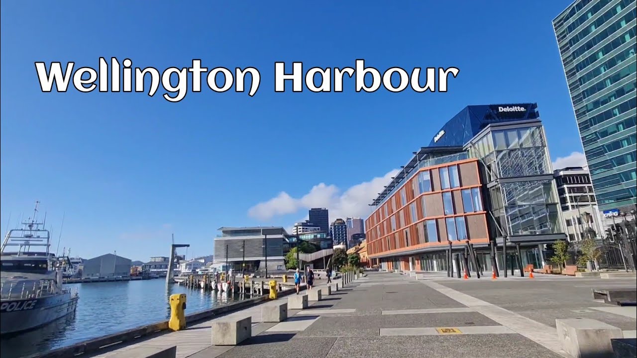 New Zealand's Most Beautiful Port: Wellington Harbour - YouTube
