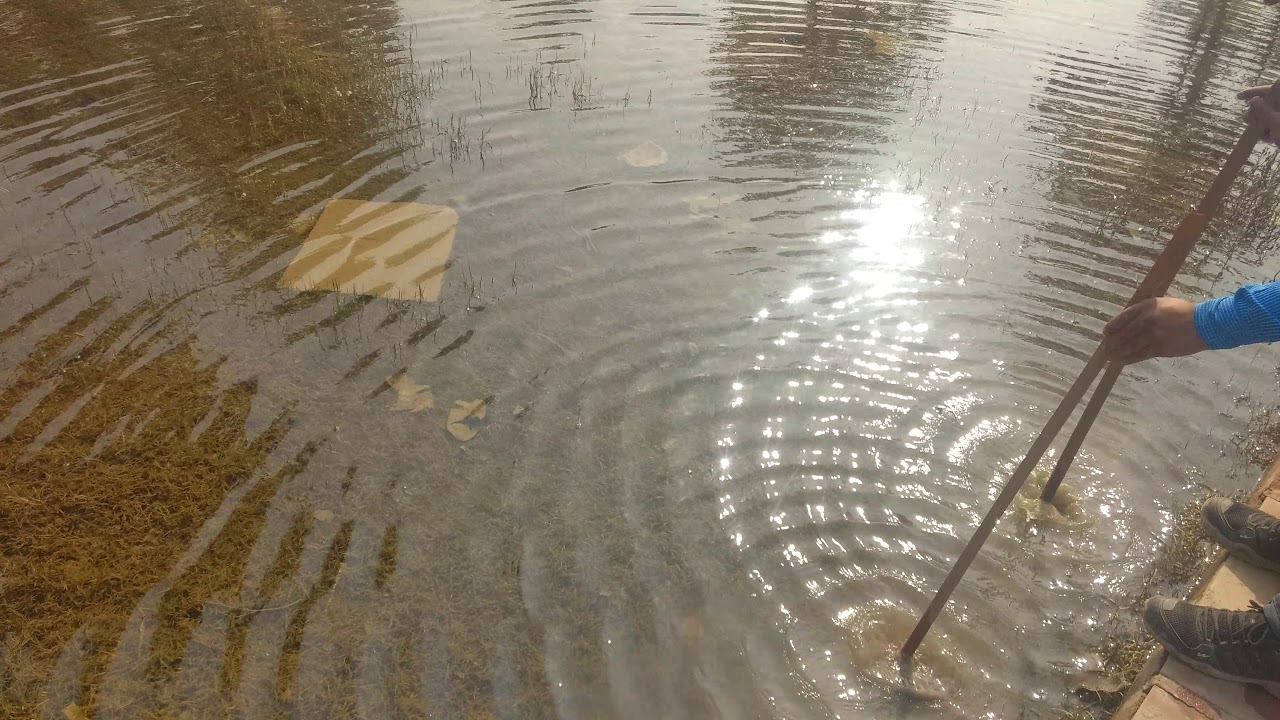 Interference Of Waves - YouTube