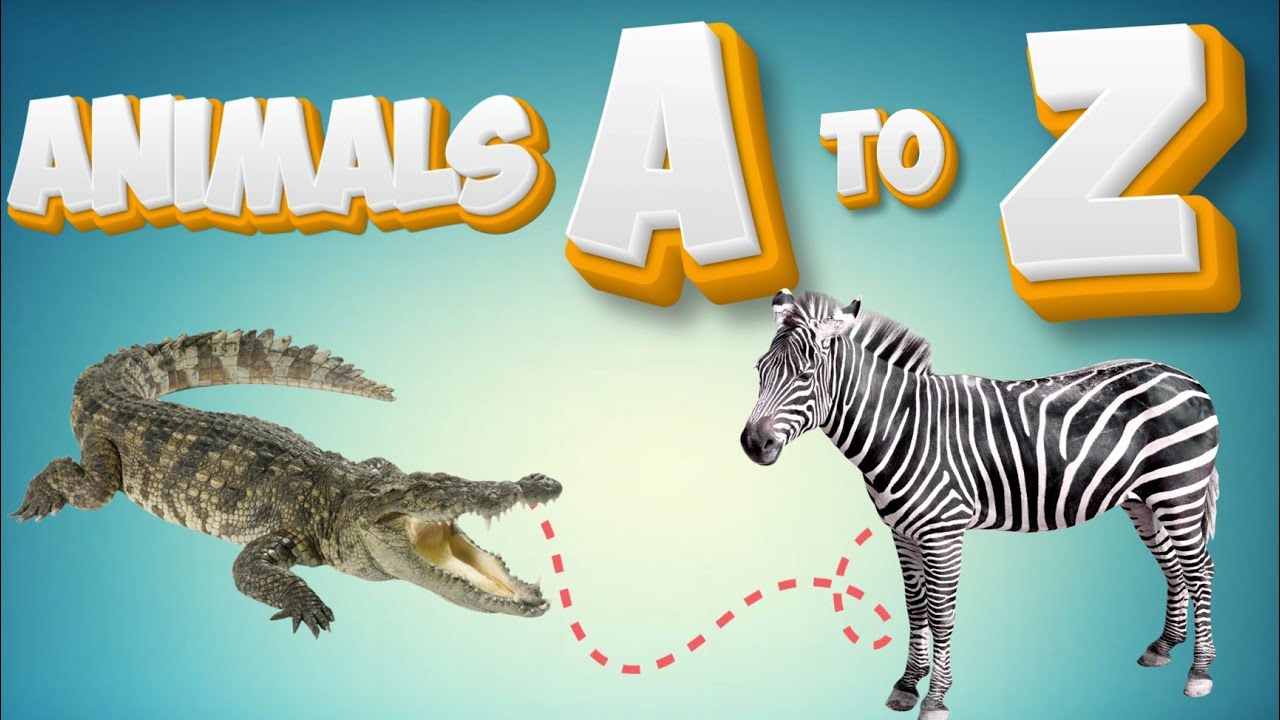Animals ABC learn the alphabet | ABC Animal Song for Kids | Learn ...