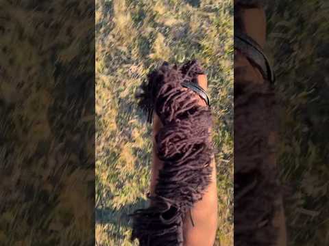 This course tho 🤩