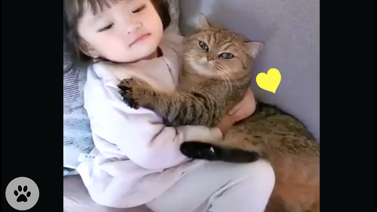 Cutest Cats Love To Cuddle - Cats Compilation😍😍 - YouTube