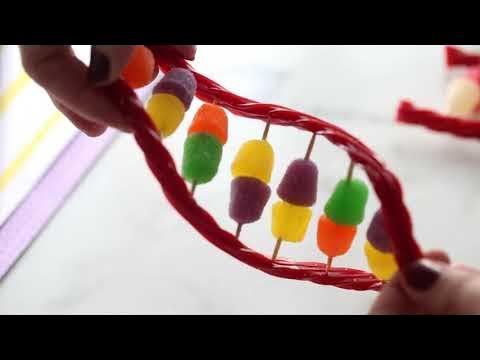 Build Candy DNA - YouTube