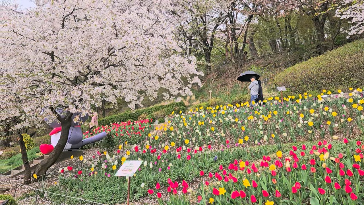 연희숲속쉼터(서울) / Yeonhui Forest Rest Area - YouTube
